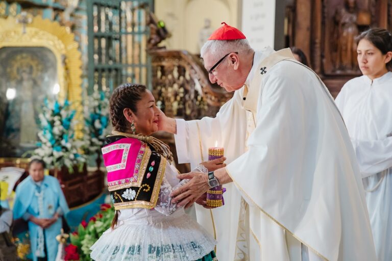Cardenal Castillo: El Bautismo del Señor nos sumerge para ir al fondo ...