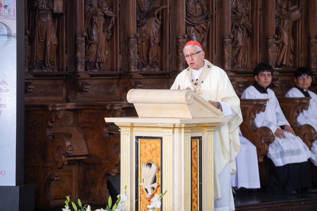 Cardenal Castillo: Dios entra en la historia humana a través de una ...